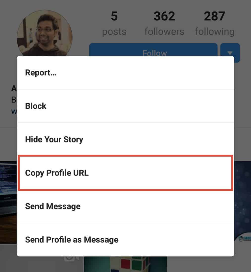 How to Download or View Instagram Profile Picture of Others in Full Size