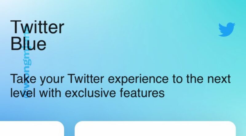 Twitter Blue Paid Subscription Confirmed with a Base Price Plan at $2.99