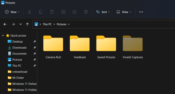 How to Show Hidden Files on Windows 11 File Explorer