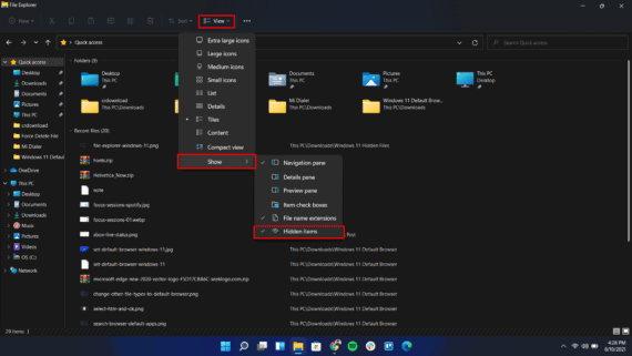 How to Show Hidden Files on Windows 11 File Explorer