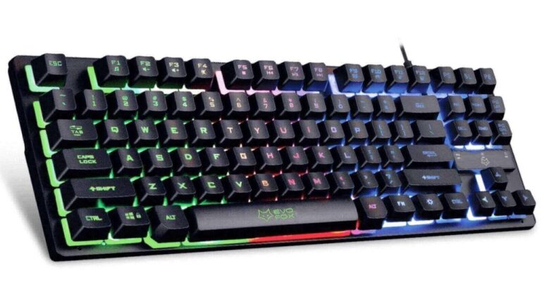 EvoFox Fireblade TKL Gaming Keyboard with RGB Backlit Keys Review