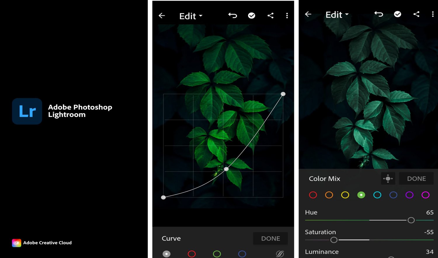 The Top 5 Photo Editing Apps for Android and iOS to Enhance Your Photos ...