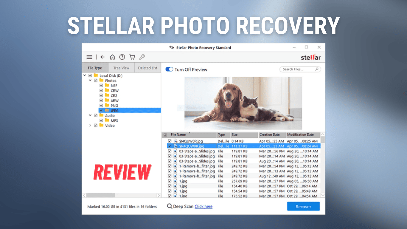 Stellar Photo Recovery Review: Should It Be Your Goto Recovery Tool?