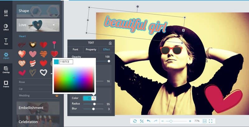 How to Make Your Common Photo into Art Work with Online Graphic Tool