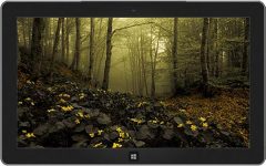 30 Stunning Windows Themes of Natural Wonders